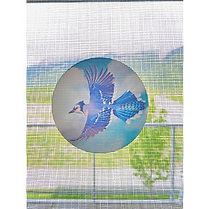 Retractable Screen Door Decals (Stickers) - 6 per Package - Keep Children Safe - Alert Birds, Dogs, Kids - Warn, Protect, Window Safety - Birds