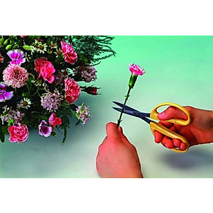 Bonsai Sissors Small 210mm