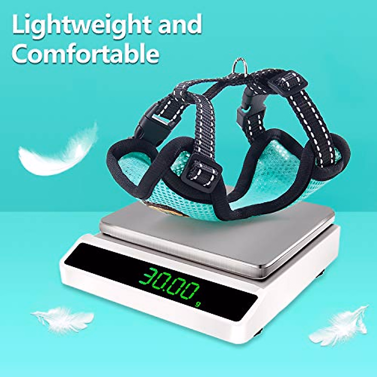 AWOOF Reflective Kitten Harness and Leash Escape Proof with Car Seat Belt, Adjustable Cat Puppy Walking Jacket with Metal Leash Ring, Soft Breathable Small Pet Vest (S)