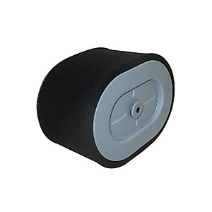 TC-Motor Replacement Filter For Briggs & Stratton 799818 Ca 25T232-0007-F1