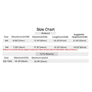 LilPinkGoose Baby Girl Half Birthday Outfit 1/2 Birthday Girl Outfits (Dusty Rose Short Sleeve, 6 Months)