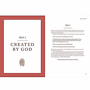 Defined - Bible Study Book: How God Has Identified You