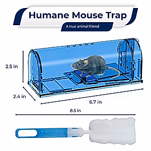 Humane Mouse Traps Indoor for Home/Outdoor, Live Catch and Release Mice Traps, No Kill Mouse Catcher, Easy to Set and Reusable Humane Trap, Safe for Families and Pets 4 Pack Blue