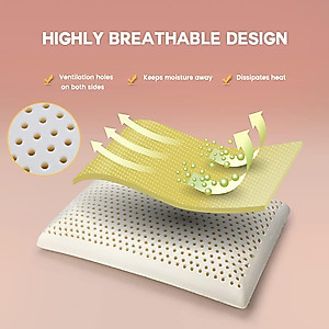 Artka Talalay 100% Natural Latex Pillow, Soft Bed Pillow for Sleeping with Removable Cotton Pillowcase, Premium Standard Size Sleeping Pillow Helps Relieve Pressure, No Memory Foam Chemicals