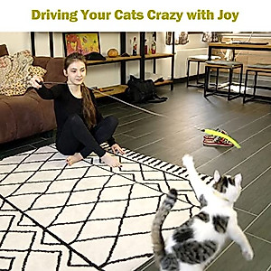 MeoHui Cat Toys for Indoor Cats, Interactive Cat Toy 2PCS Retractable Cat Wand Toy and 9PCS Cat Feather Toys Refills, Funny Kitten Toys Cat Fishing Pole Toy for Bored Indoor Cats Chase and Exercise