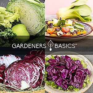 Cabbage Seeds for Planting 5 Individual Packets Bok Choy, Michihili (Napa) Chinese Cabbage, Red, Golden Acre and Copenhagen Market Early for Your Non GMO Heirloom Vegetable Garden by Gardeners Basics