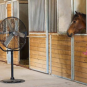 Maxx Air Extreme Power Industrial Pedestal Fan | Heavy Duty 30" Stand Fan, 4800 CFM