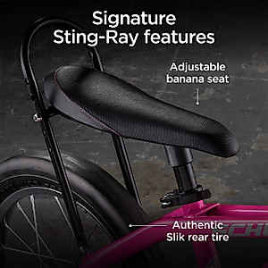 Schwinn Krate EVO Kids Bike for Boys and Girls Ages 3-5 Years, 16-Inch Wheels, Rider Height 38 to 48-Inches, Removable Training Wheels, Rear Coaster Brake, Blue