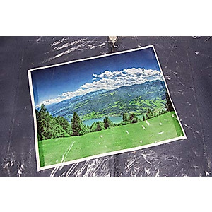 5-Pack Clear Vinyl Zippered Underbed Storage Bags 32 x 16 x 4 Inch with Dark Green Trim, 11 x 14.5 Insert Pocket and Handle