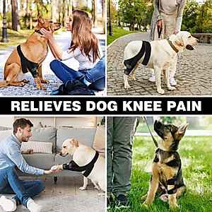 JUANWAN Dog Knee Brace Leg Braces - Dog Canine Knee Stifle Brace Wrap Dog Knee Brace for Torn ACL Hind Leg Joint Pain Muscle Sore Pet Brace Reduces Pain and Inflammation (M)