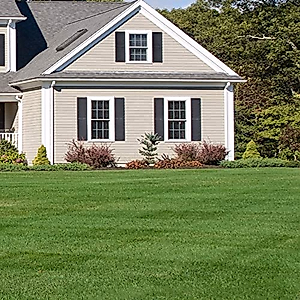 Outsidepride Maya (Blackjack II) Warm Season Drought Tolerant, Fast Growing, Bermuda Lawn, Turf Grass Seed - 5 LBS