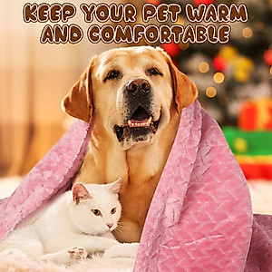 Reginary 6 Pieces Pet Fluffy Dog Blanket, Soft Warm Fuzzy Blankets for Small Medium Large Pet Plush Fleece Throws Puppy Kitten Sleep Mat Bed Covers for Dog Cat Animals, 24 x 32 Inch