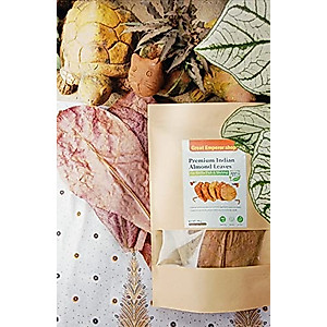 Pufa Great Emperor shop Premium Indian Almond Leaves Medium Catappa for Betta Fish & Shrimps|Best / Shrimp |Indian Almonds Naturally sourced Help Boost immunity 65g.