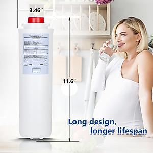 51300C,Replacement Filters (2-pack) for 51300C, (12 inch Chipless) Longer Service Life