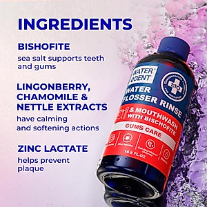 WATER DENT Water Flosser Rinse, Concentrate Mouthwash 1:10, Gum Care, IRRGIANT, Add to Water Flosser, Developed by Dentists, Fruit Flavor (Pack of 2- Value of 372 fl.oz)