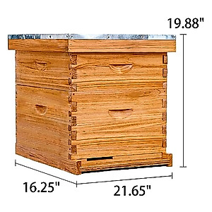 POLLIBEE 10 Frame Beehive Starter Kit, Beeswax Coated Bee Hives Includes 1 Deep Bee Boxes and 1 Bee Hive Super with Beehive Frames and Beeswax Foundation