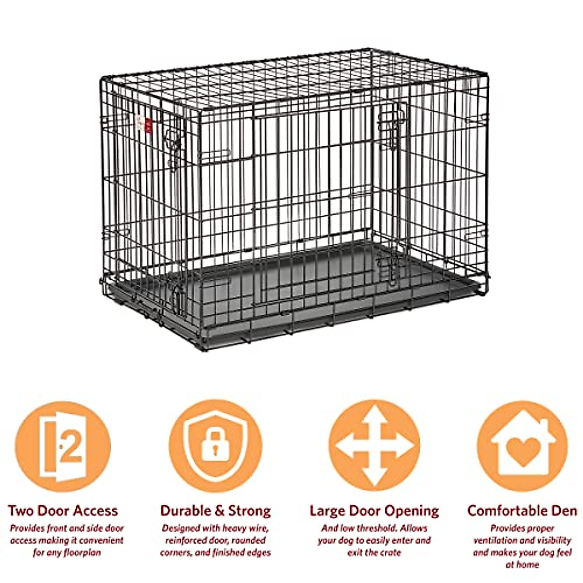Dog Crate | MidWest Life Stages 36" Double Door Folding Metal Dog Crate | Divider Panel, Floor Protecting Feet, Leak-Proof Dog Pan | 36L x 23W x 25H Inches, Intermediate Dog Breed