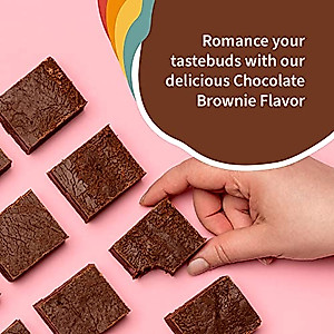 Garden of Life Creamy Organic Vegan Protein Powder + OatMilk, 20g Complete Plant Based Protein, Coconut Water, MCTs, Sprouted Grains, Prebiotics, Probiotics – Gluten-Free, Chocolate Brownie, 2 LBS