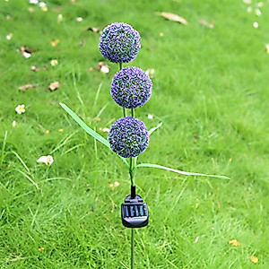 Solar Powered Dandelion Solar LED Lights Outdoor Waterproof LED Lamps for Garden Backyard Lawn Landscape Decoration Illumination (Purple)