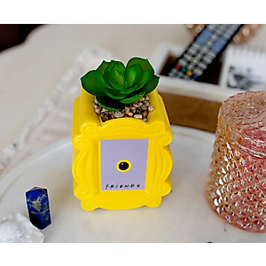 BoxLunch Friends Peephole Frame Faux Succulent Planter