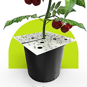 Sticky Lid 12" Sticky Trap - Fungus Gnats - Covers Entire Pot - 4X Larger & More Rigid - Weatherproof - Reflects Light - Non Toxic - EPA Registered Establishment - 10 Pack