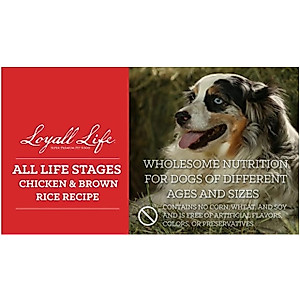 Nutrena Loyall Life All Life Stages Chicken and Rice Dog Food (40 Pounds), 1 Count (Pack of 1)