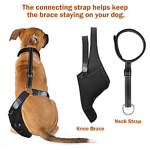 DGYAO Dog Knee Brace for ACL, Knee Cap Dislocation, Arthritis - Full Wrap - Easy Adjustable - Extra Support - Reduces Pain and Inflammation – Full Sizes