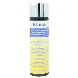 Blondi Beautifully Blonde Purple Shampoo - Vegan - Paraben Free - Sulfate Free - Salt Free - Animal Cruelty Free - Purple Shampoo for Blonde Hair - Toning Blue Shampoo for Blonde and Gray Hair