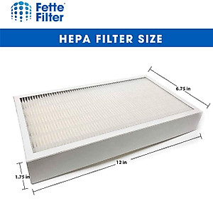 Fette Filter - 4 True HEPA Filters Compatible with 3M Filtrete F1 Replacement Filter for Purifier FAP-C01-F1,FAP-T02-F1, FAP-C01BA-G1, FAP-T02WA-G1, FAP-ST02W FAP-ST02N Compare to Part # FAPF-F1-A F1