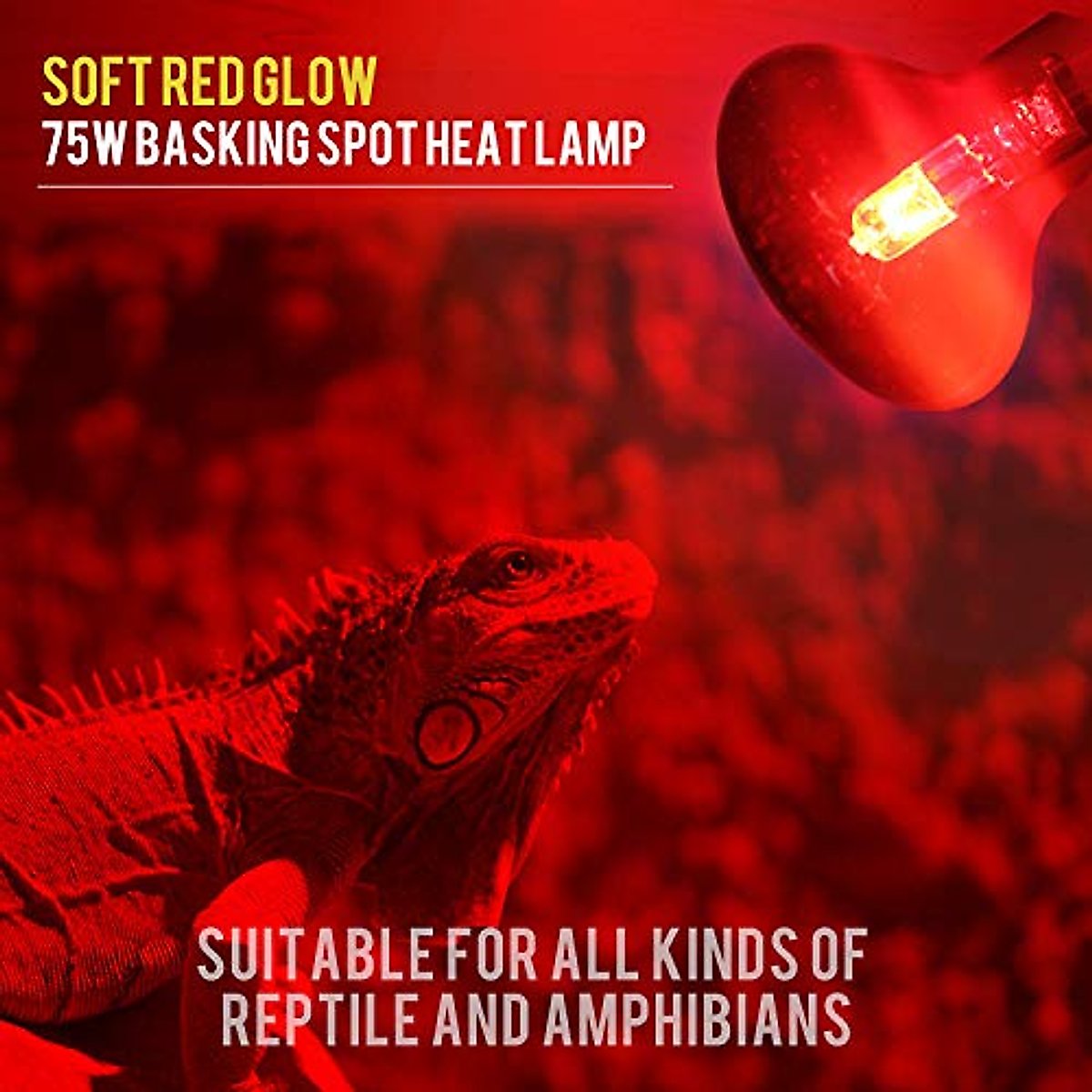 FIVEAGE 75W Red Heat Light Reptile Heat Lamp Infrared Bulb UVA Basking Spot Bulb for Reptile and Amphibian Use - Bearded Dragons Lizard Tortoise Snake Chameleon 2 Pack