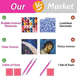 AIMUFAN 5D Large Diamond Art Painting Kits for Adults (ZMT017)