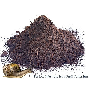 Snout and Shell Organic Coco Coir Peat Bedding Ready to Hydrate Use Substrate for Reptile or Amphibian Perfect for Frogs, Salamanders, Geckos and Snakes Increase Humidity 1.4 Lbs - 650 Grams