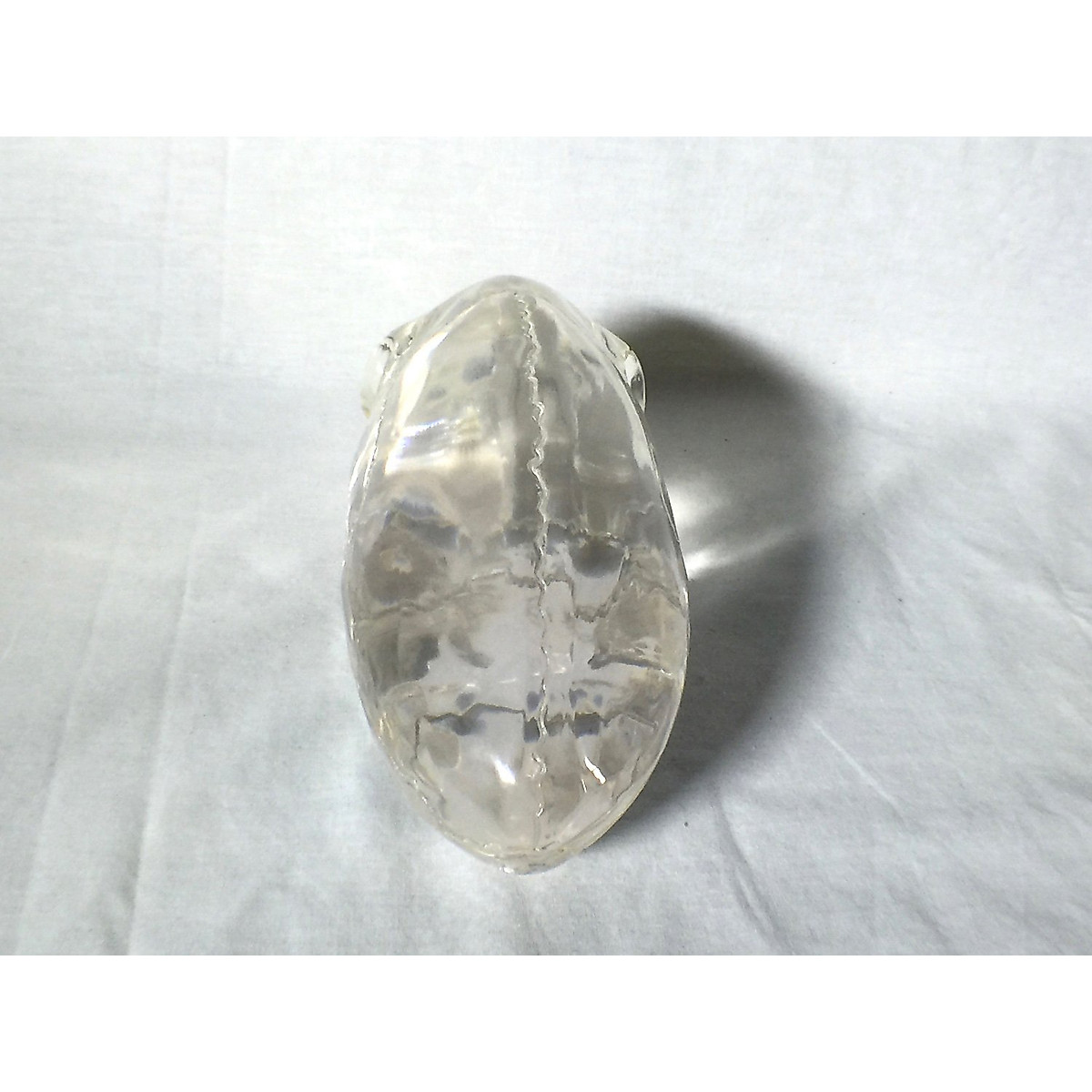 Indy, Alien Crystal Skull Real Prop Replica, Signed, Numbered, Limited Edition