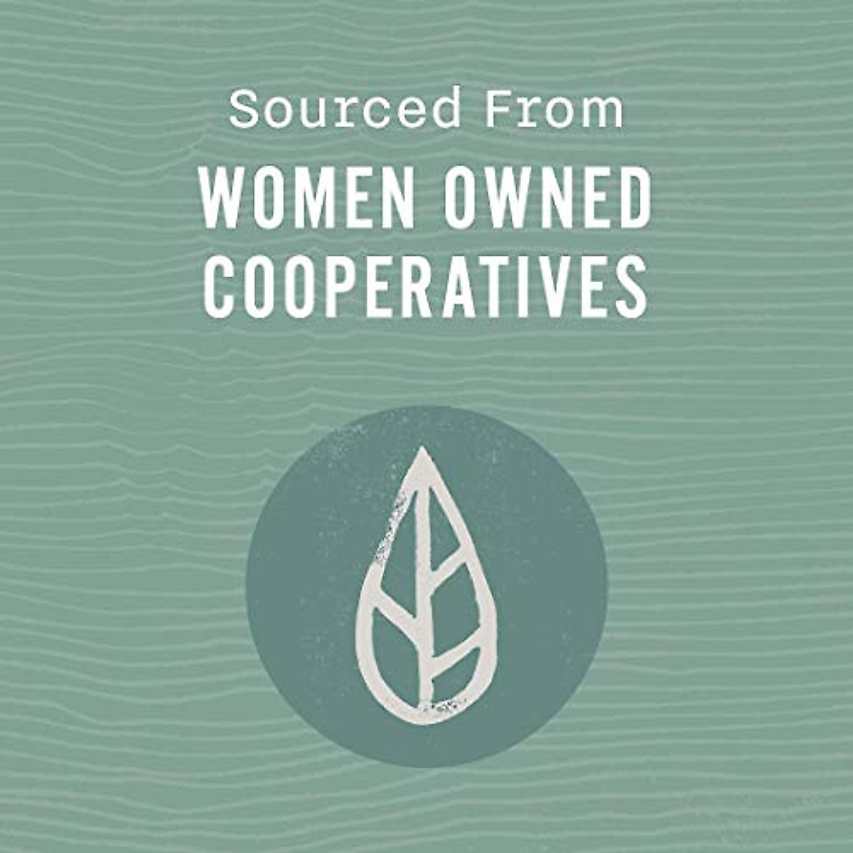 Allegro Coffee Organic Cafe La Duena Whole Bean Coffee, 12 oz