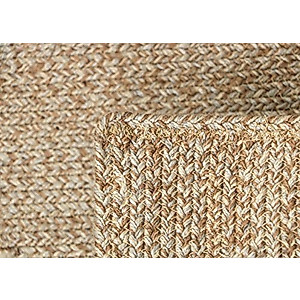 SISOSU Performance Braided Area Rug - Carpets for Living Room, Bedroom, Dining Room, Home Décor - Luxurious Handcrafted Traditional Rug - PET-Yarn - Modern Rugs- 4’ x 6’-Beige