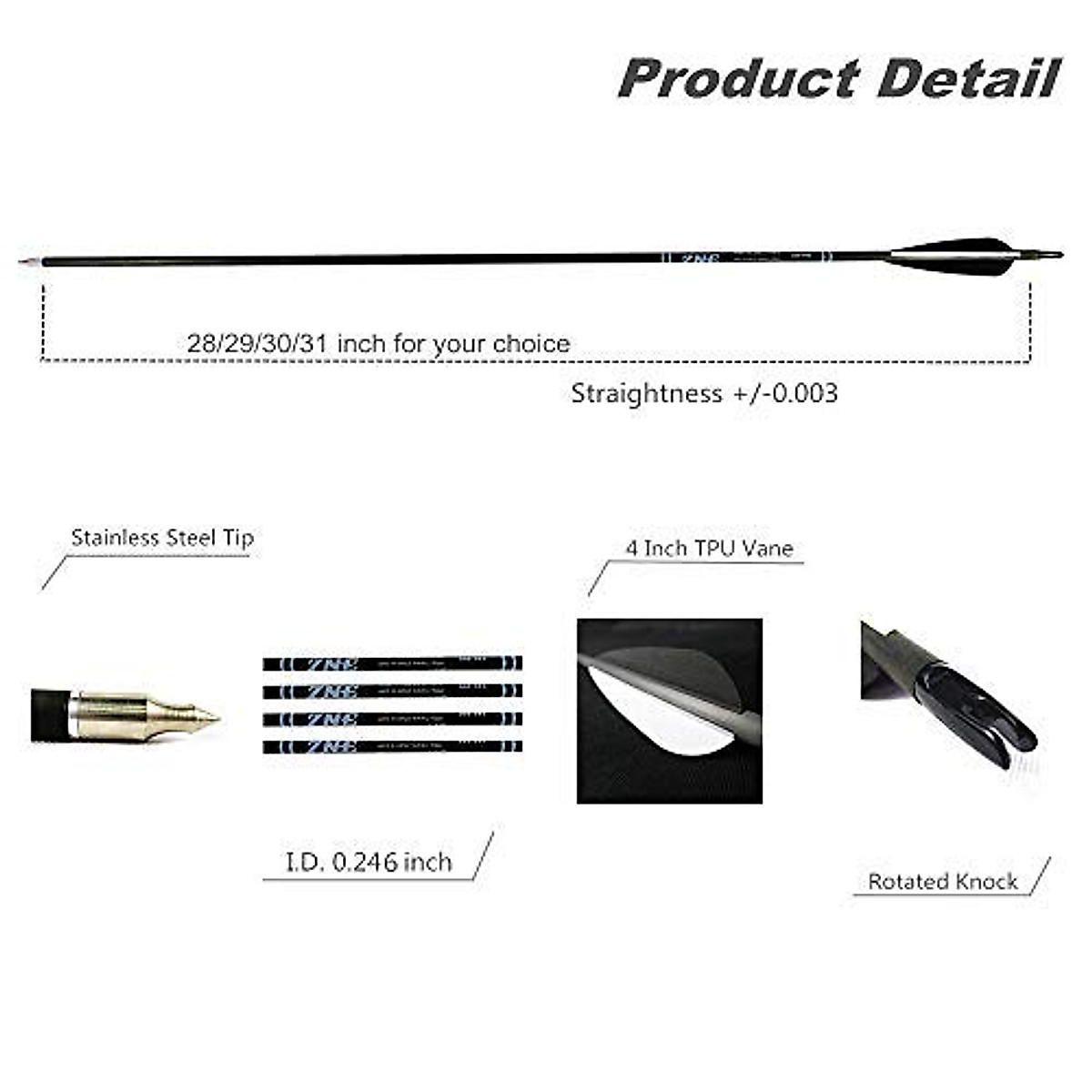 12 Pack Archery Carbon Arrows 350 Spine Shafts with Field Points for Compound and Recurve Bows Target Shooting Hunting(31 Inch)