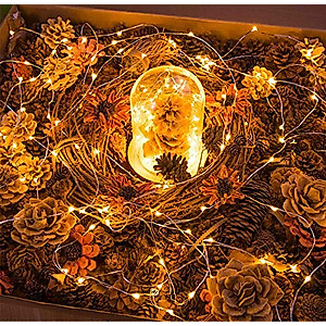 Lxcom Lighting Fairy String Lights 6.56Ft 280leds 14 Strands Battery Operated Copper Wire Branch Lights 8 Modes Waterfall Twinkle Lights with Timer Decorative Light for Home Festival Decor(Warm White)