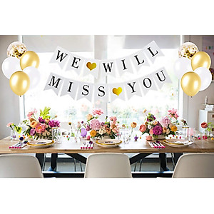 Mannli Elicola We Will Miss You Banner Balloons Bunting for Retirement Farewell Going Away Office Work Party Graduation Decorations