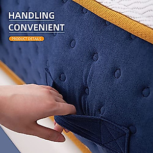 XIZZI Queen Mattress 14 Inch Hybrid Memory Foam Mattress with Pocket Spring,Mattress in a Box,Queen 14 Inch Blue