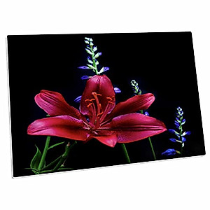 3dRose Red Day Lilly with Purple Blooms - Desk Pad Place Mats (dpd-336452-1)