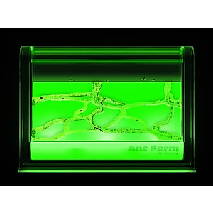 Uncle Milton Ant Farm Live Ant Habitat, Light-Up Gel Colony