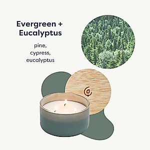 Calyan Wax Co. 3 Wick Candle, Evergreen + Eucalyptus Scented Candle, 30+ Hour Burn Time, 3 Wick Soy Candles, Non Toxic & Vegan Soy Wax, Glass Scented Candles, 7oz