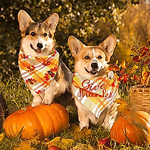 4 Pack Halloween/Thanksgiving/Christmas/New Year Dog Bandanas - Triangle Reversible Pet Scarf for Dogs, Adjustable Holiday Dog Bandanas for Small Medium Large Dogs Pets