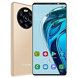 Diydeg 5.45in HD Screen Phone, LANDVO Mate40 Pro 3G 1GB+8GB 500W+200W Pixels Camera Dual Card Dual Standby Phone, for Gift Man(Golden)