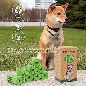 Dog Poop Bags with Jasmine Scent 100% Leak-proof, BPI Certified Biodegradable Poop Bags for Dogs, 13 x 9 Inches Extra Thick Poop Bags, 120 counts 8 Rolls, Green