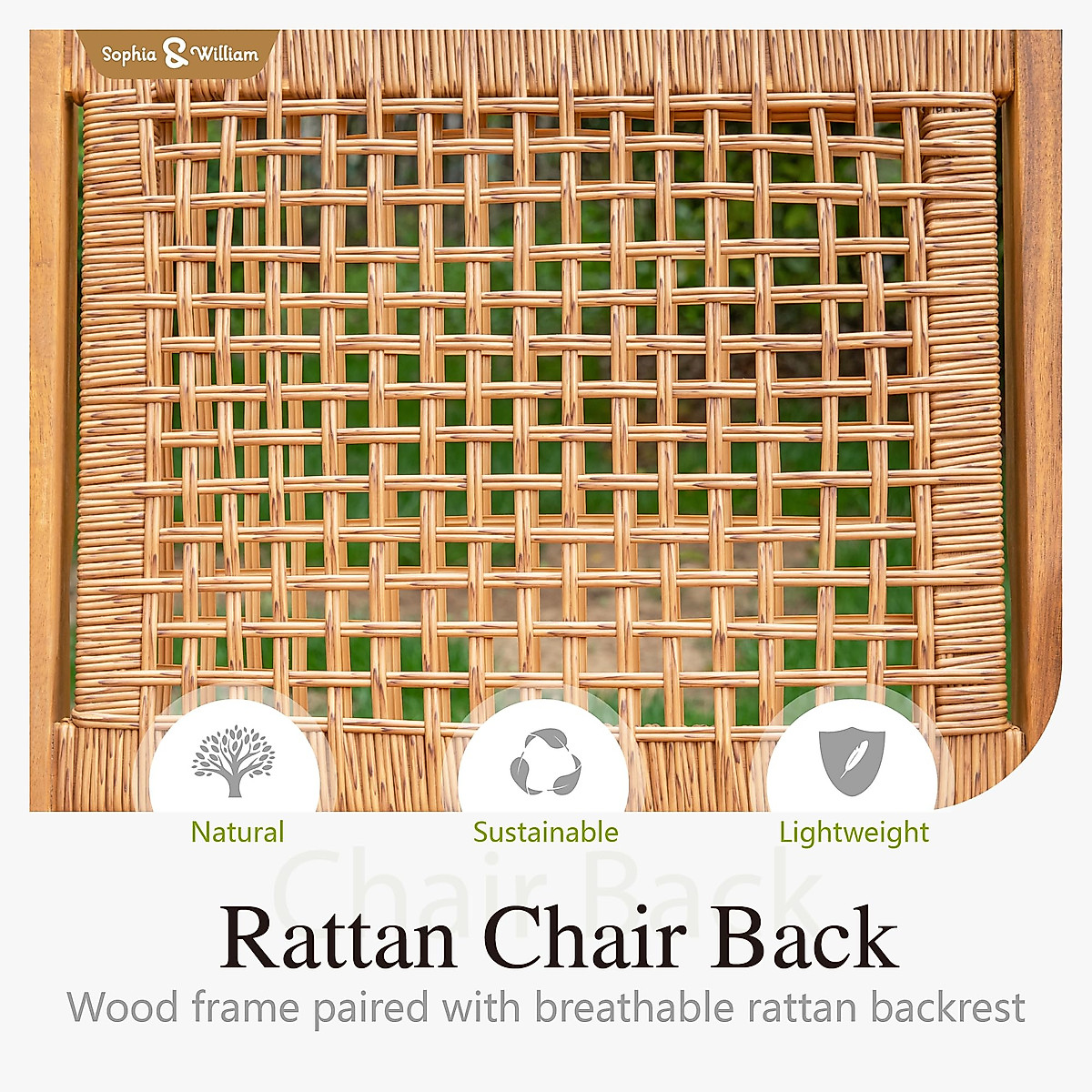 Sophia & William 9-Piece Patio Outdoor Dining Table Chair Set, Rattan Furniture Set of 8 Rattan Chairs and 1 Acacia Wood Rectangular Table for Yard, Garden, Porch and Poolside