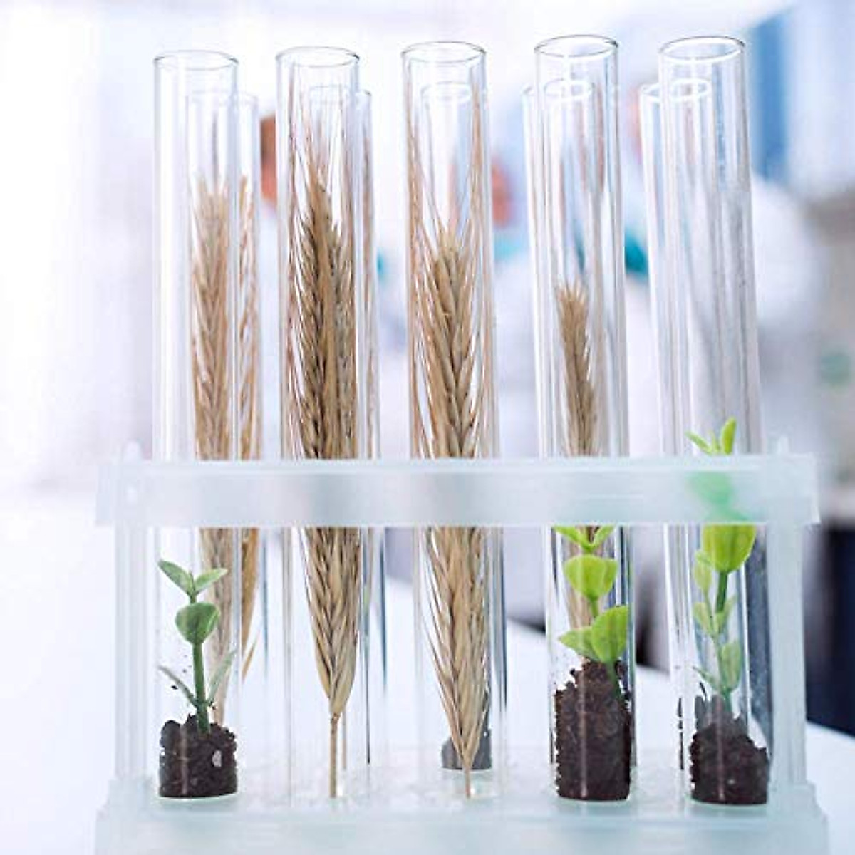 Joyclub 20x150mm 35ml Plastic Test Tubes with Cork Stoppers for Scientific Experiment, Halloween, Christmas, Scientific Themed Kids Birthday Party Supplies, Decorate The House, Candy Storage(30 Pack)