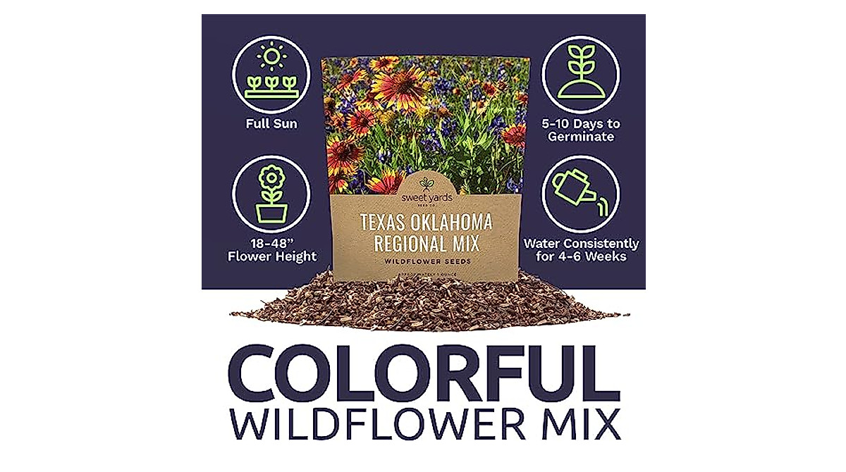 Texas Oklahoma Wildflower Seeds - 15,000 Seeds in 1 oz