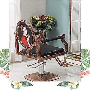DFONCE Barber Chair,Hydraulic Barber Chair Salon Hair Beauty Chair Styling Equipment,C (Color : D)