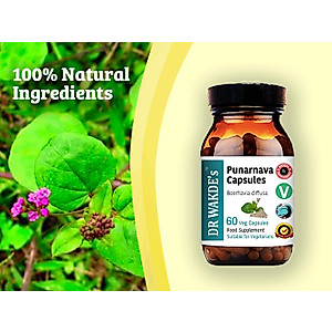 DR WAKDE'S Punarnava Capsules (Boerhavia diffusa, 60 Veg Caps, Plant-Based Supplement, Ayurvedic Herb, All Natural, Vegan)